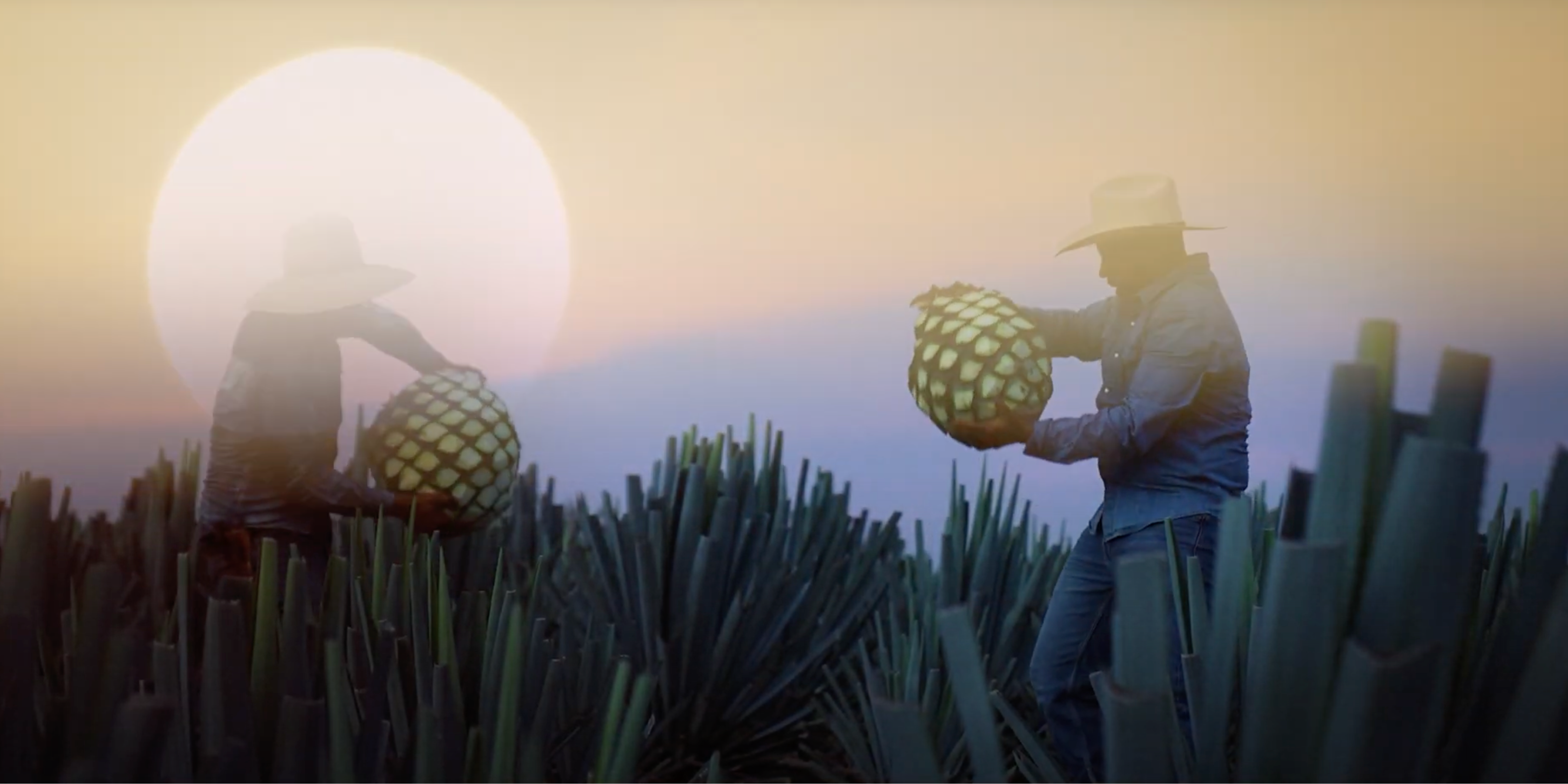Authentico Tequila